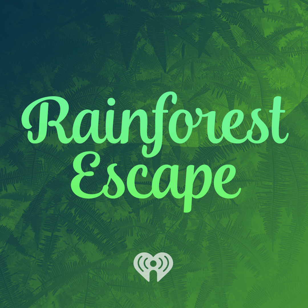 Rainforest Escape | iHeartRadio